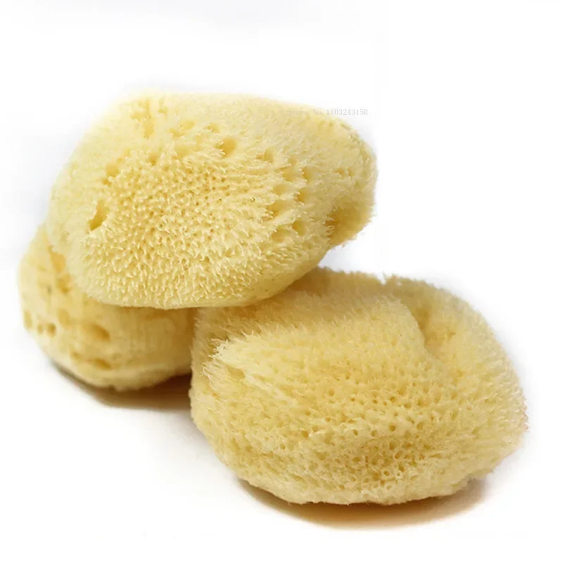 Natural-Greek-Sponge-Watercolor-Painting-with-Absorbent-Sponge-Wiping ...