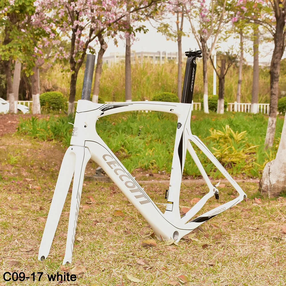 Road-Bicycle-Frameset-from-CECCOTTI-Factory-Carbon-Bike-Frame-Pearl ...
