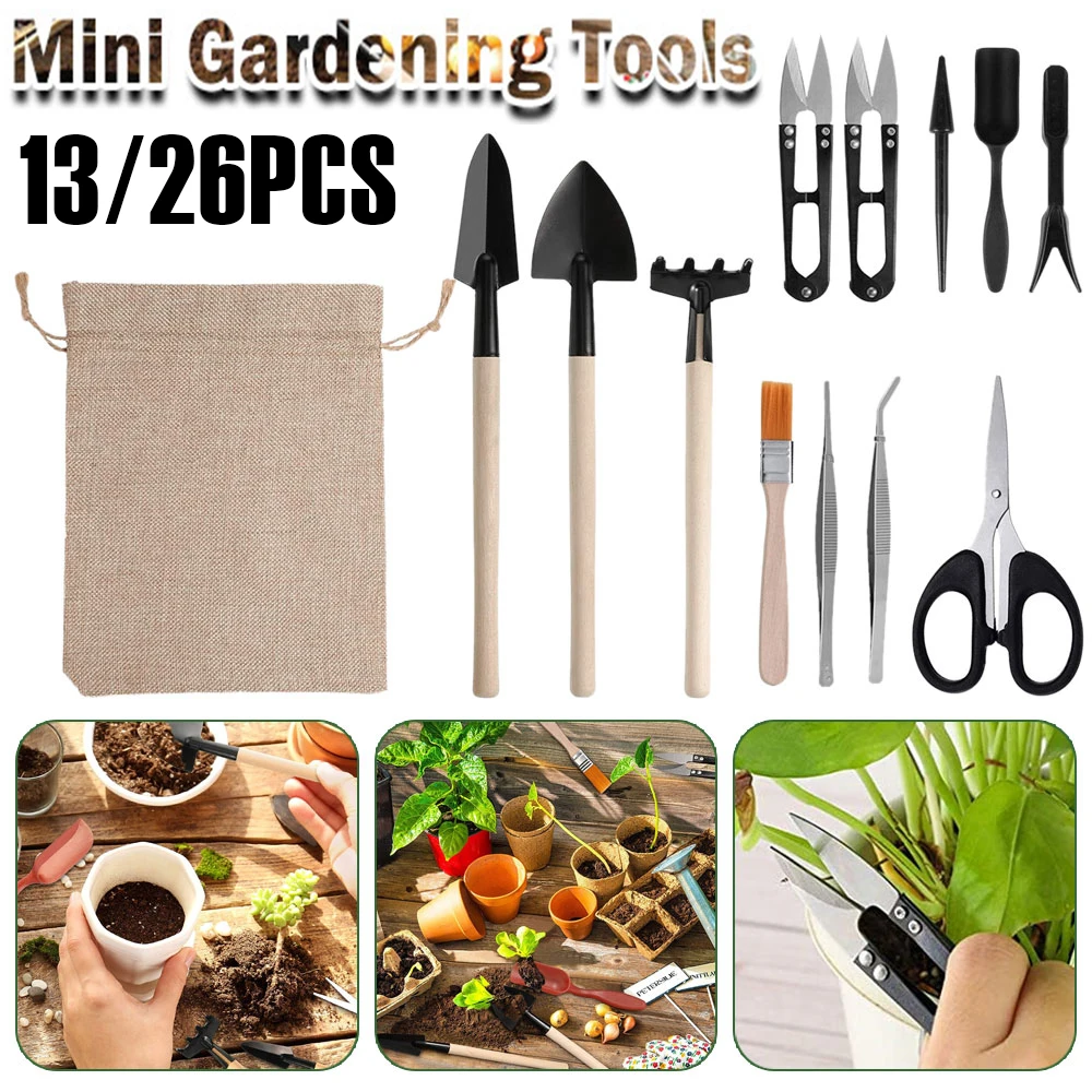 Succulent-Plants-Tools-Lightweight-Bonsai-Transplanting-Kit-Mini-Garden ...