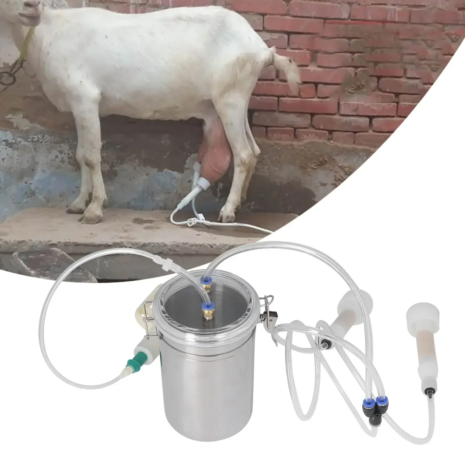 Manual Milking Machine 2000ml Effort Saving Control Stainless Steel ...