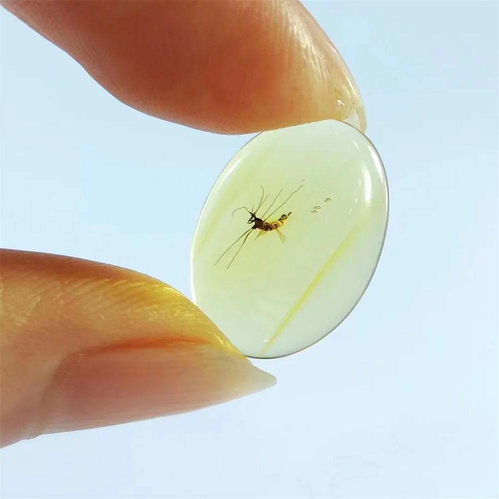 Natural-Amber-Crafts-Insect-Pieces-Posture-Floaters-Preserved-Intact ...