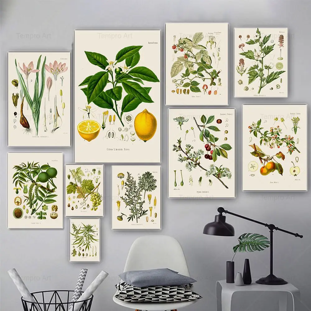 Vintage Botanical Posters And Prints Koehler's Medicinal Plants Canvas ...