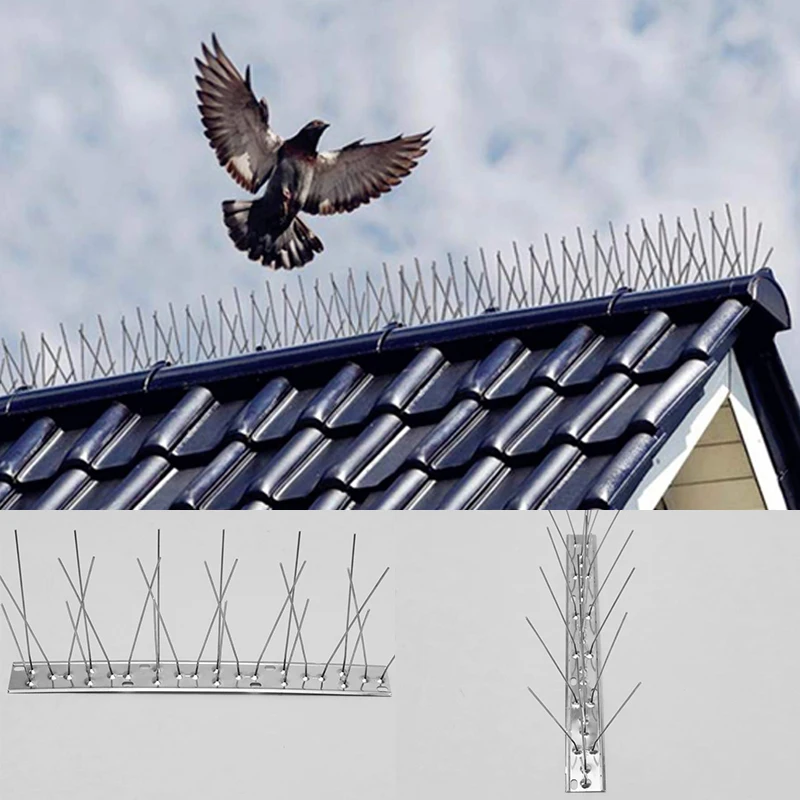 Roof Spikes For Birds