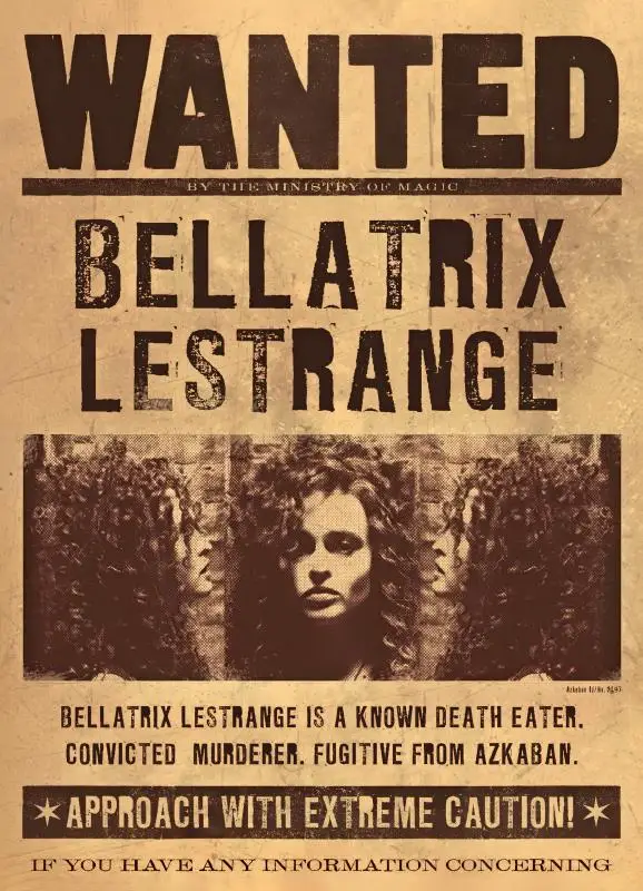 Bellatrix Lestrange Poster