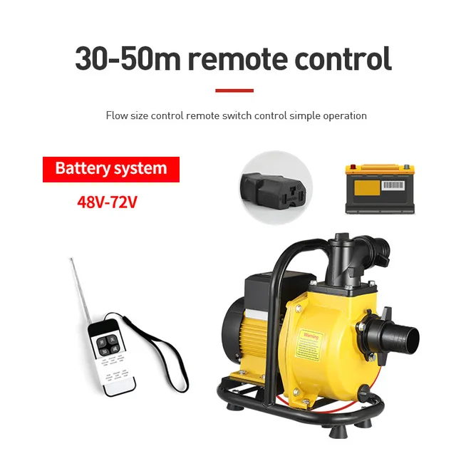 48V Variable Frequency Drive Pump with Remote Control Switch Self ...