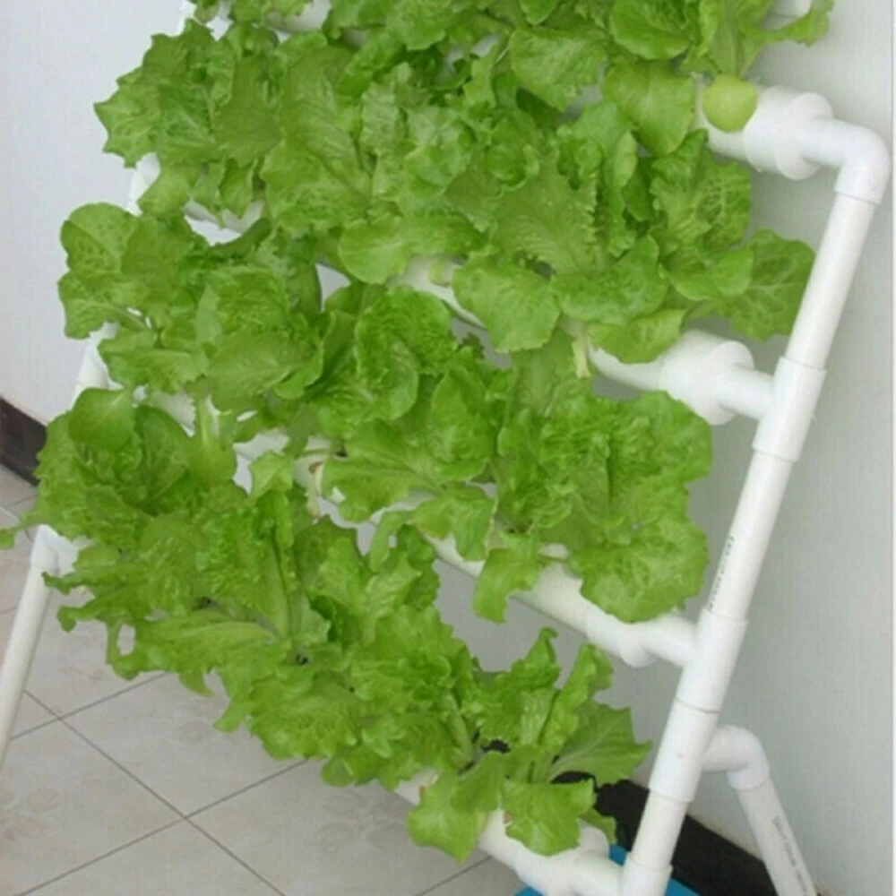 Hydroponic-Basket-Vegetable-Net-Cups-Grow-Vegetable-Basket-Cloning ...