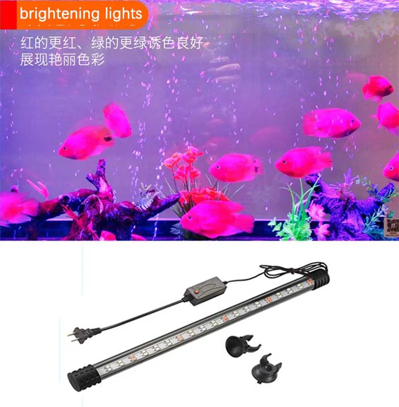 Hanging Fish Bowl Lamp