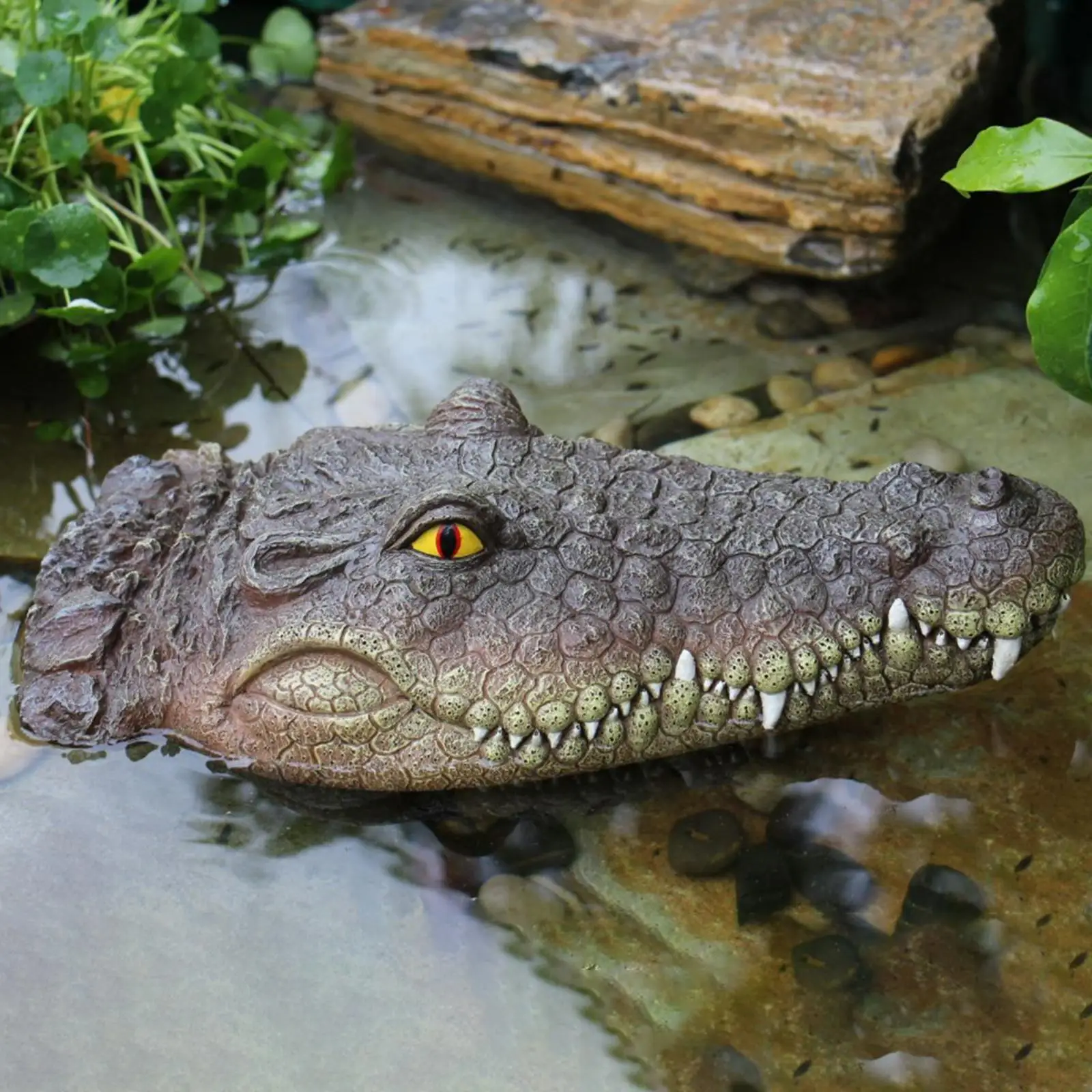 Alligator Head In Water