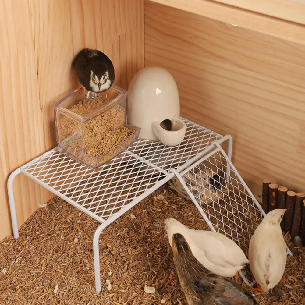 1-Set-Rutin-Chicken-Landscaping-Platforms-Grid-Racks-Pet-Feeding-With ...
