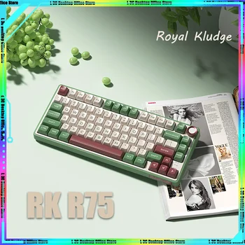Royal Kludge RK R75 Custom Wireless Mechanical Keyboard Three Modes RGB ...