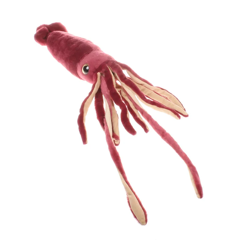 Cute Giant Squid