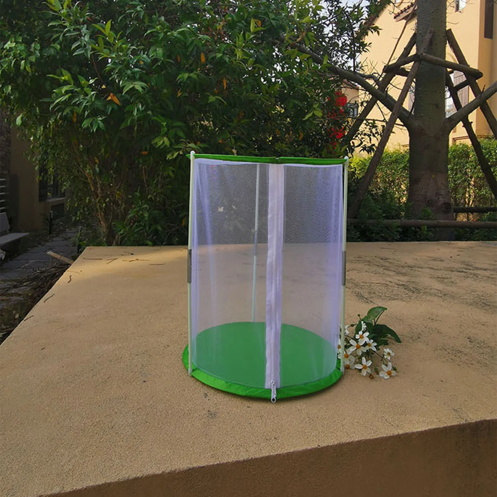 Cylindrical-Butterfly-and-Insect-Observation-Cage-Transparent-Mesh ...