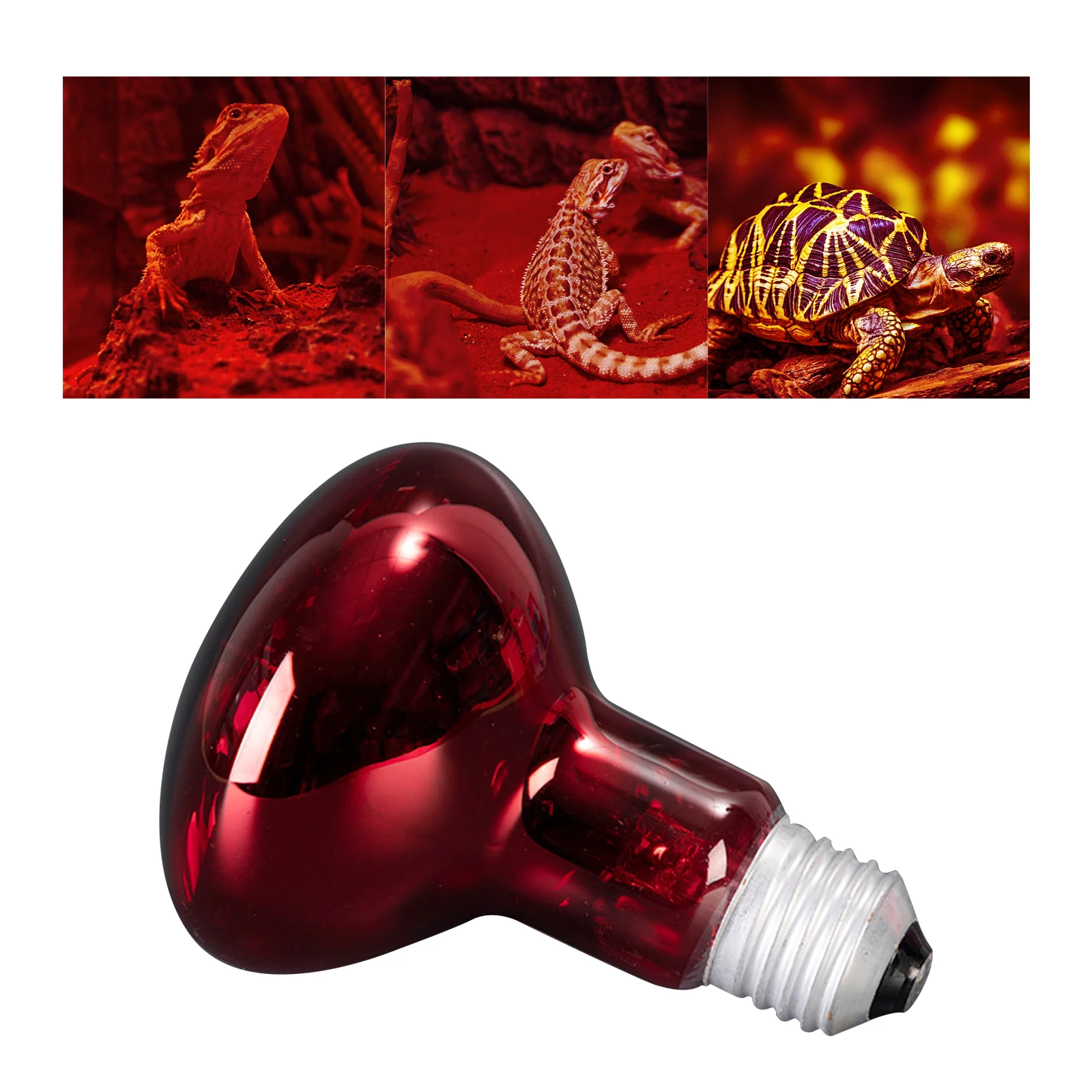 Pet-Heat-Infrared-Physiotherapy-Baking-Lights-Lamp-Bulb-Lighting-Device ...