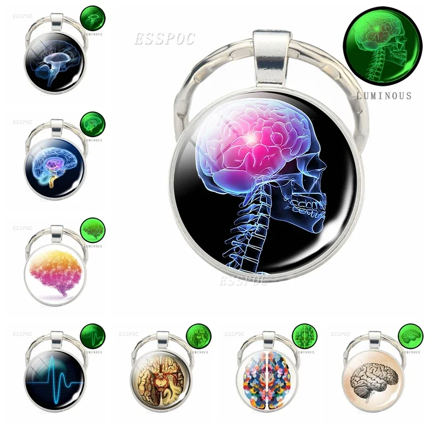 Luminous-Skull-Brain-Keychain-Body-Anatomy-Keychains-Glowing-ECG-Heart ...