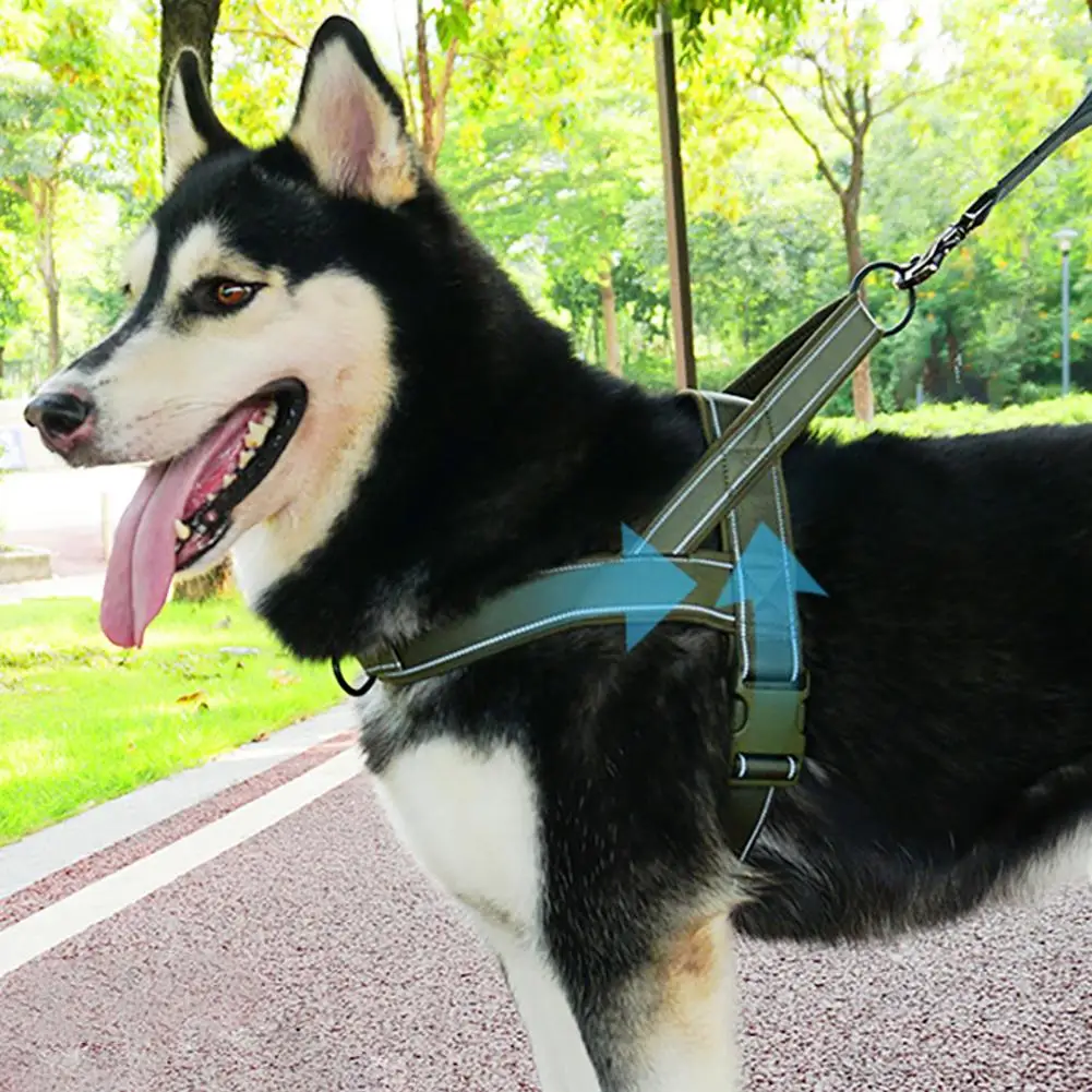 Pet Dog Chest Strap With Handle Adjustable Reflective Pet Training ...