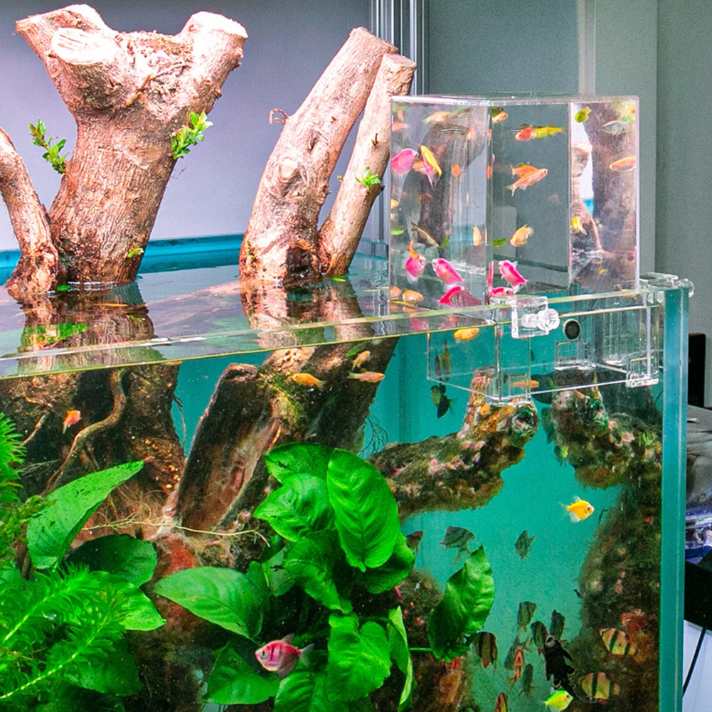 Negative-Pressure-Fish-Tank-Innovative-Aquarium-Fish-Tank-For-Office ...
