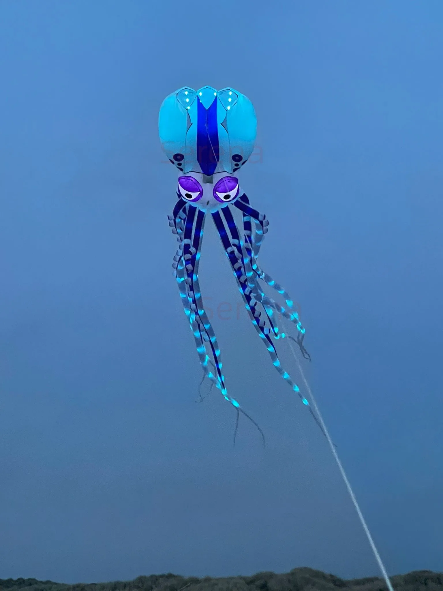 Show-kite-12m-LED-soft-octopus-big-inflatable-kite-flying-kites-with ...