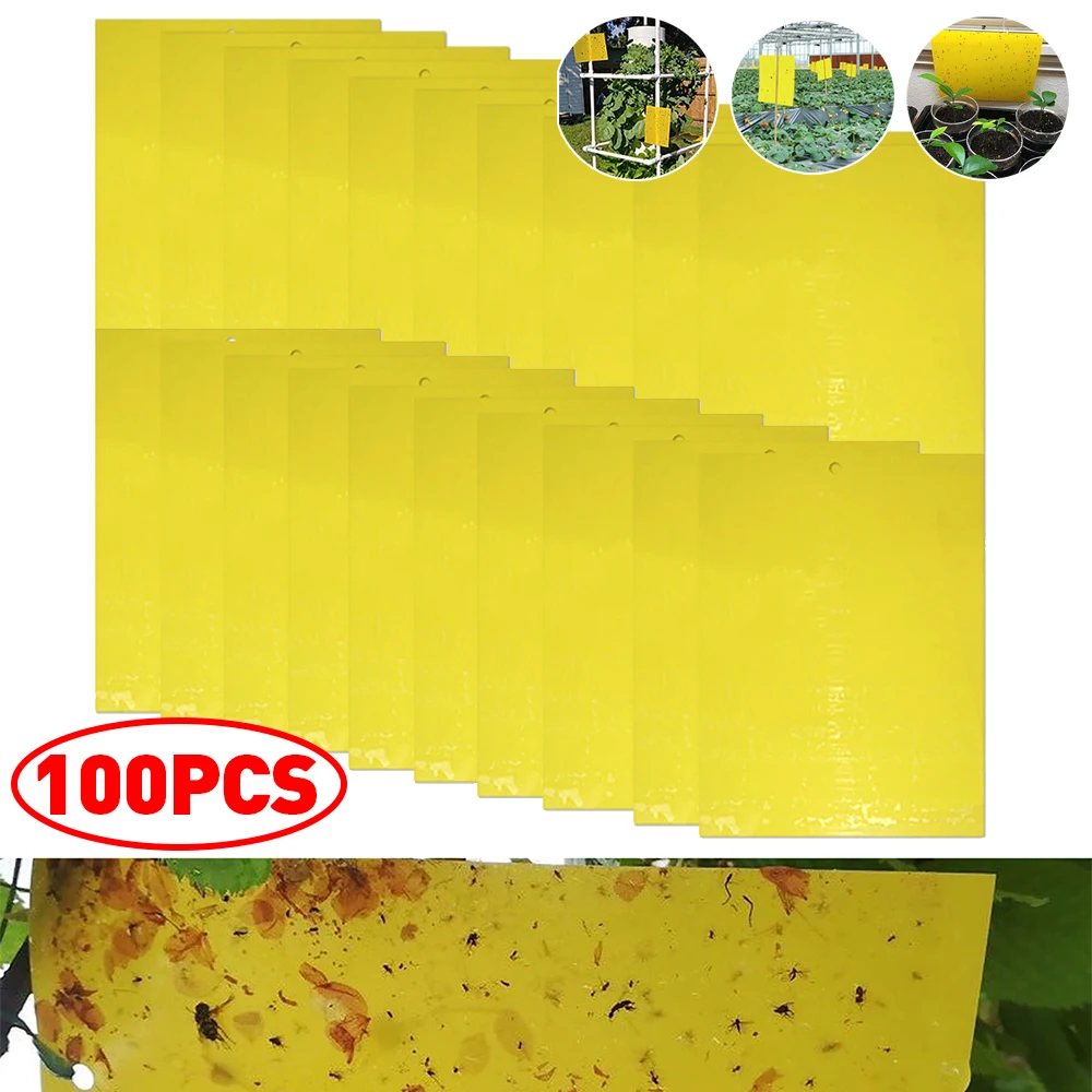 20-100pcs-Strong-Fly-Traps-Bugs-Sticky-Board-Dual-Sided-Catching-Aphid ...