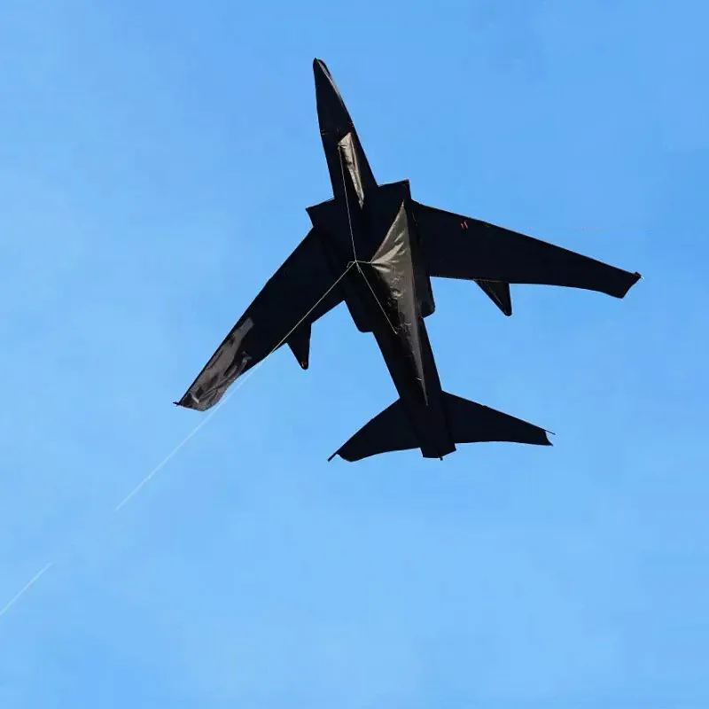 Free-Shipping-large-kites-flying-plane-kites-for-adults-kites-string ...