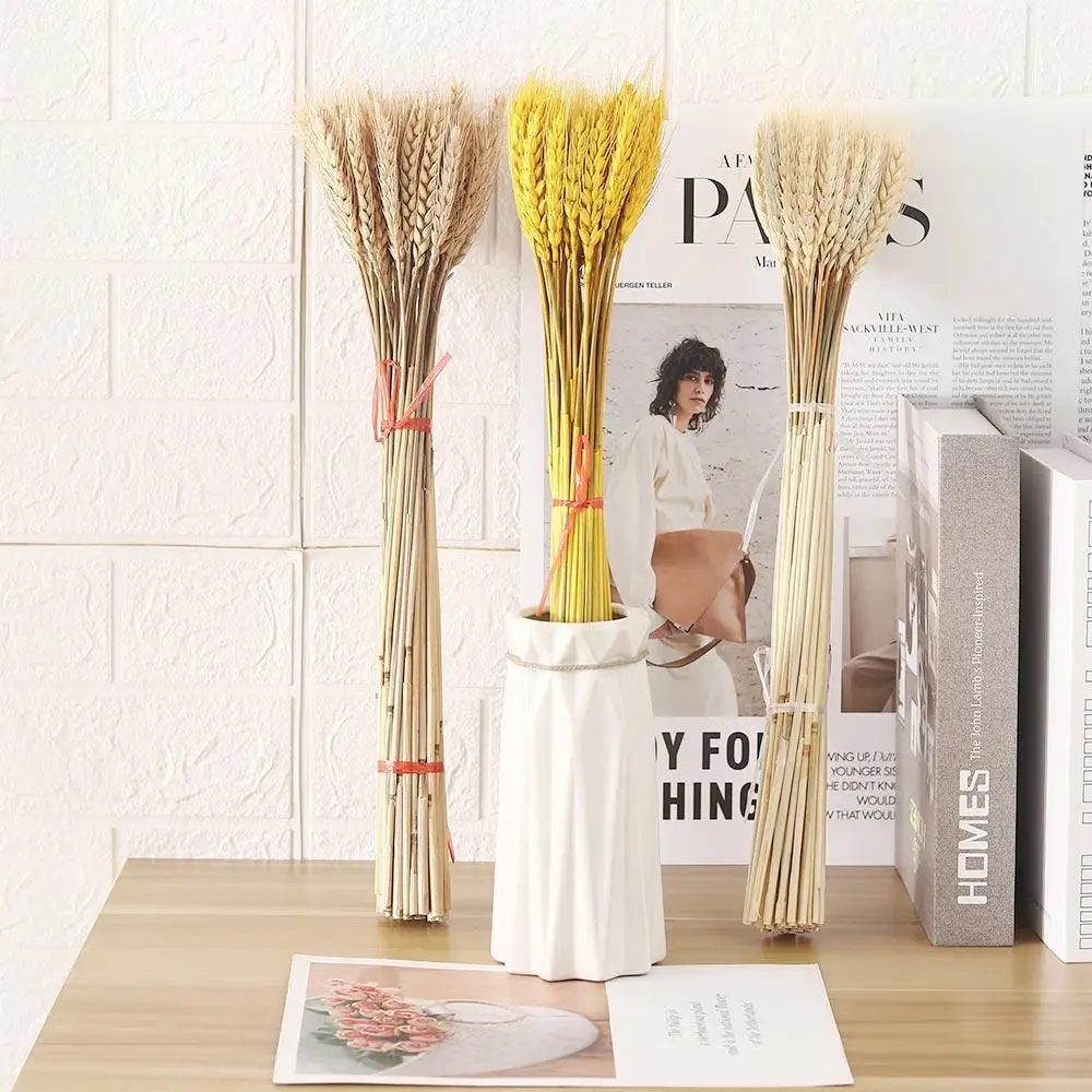 Flores-secas-naturales-de-oreja-de-trigo-Real-para-decoraci-n-de-fiesta ...