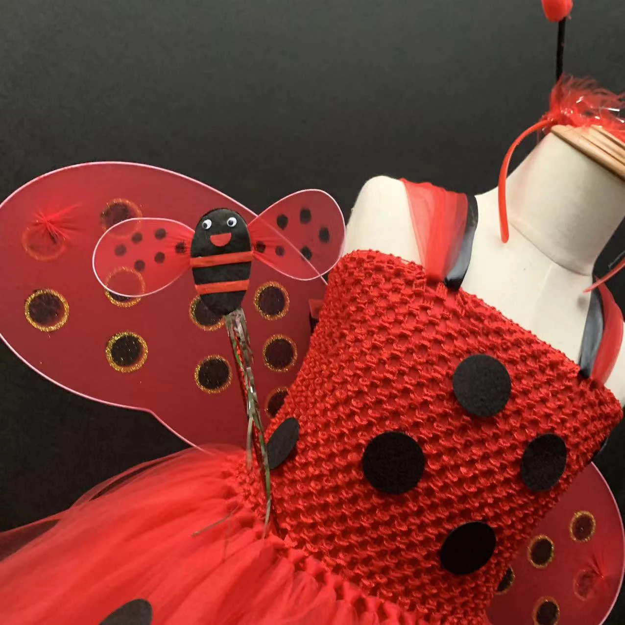 Homemade Ladybug Tutu Costume