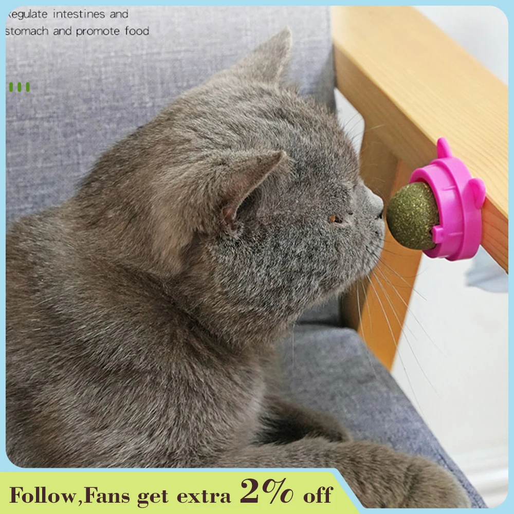 Catnip-Ball-Healthy-Natural-Pet-Products-Wall-Stick-on-Kitten-Candy ...