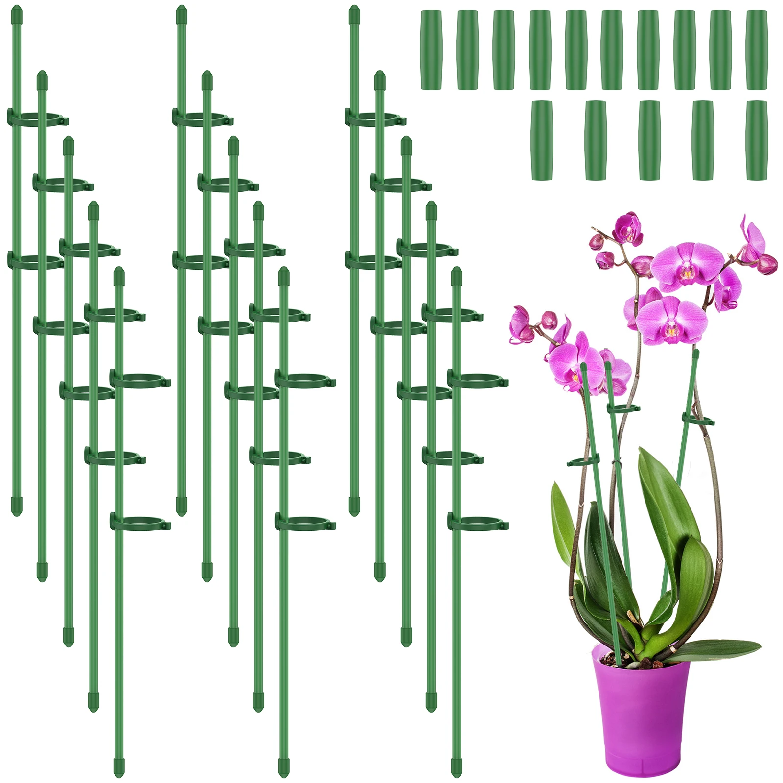 20/30Pcs Plant Supports Stakes Flower Stand Sticks Garden Single Stem ...