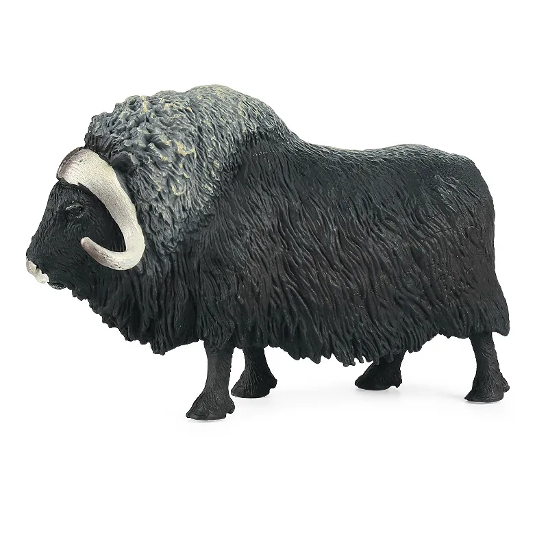 Arctic Musk Ox