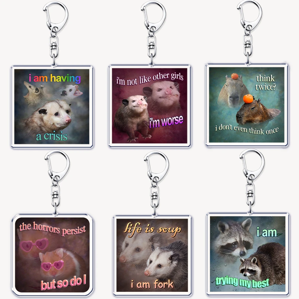 Fun-Word-Meme-Acrylic-Keychains-Keyring-for-Accessories-Bag-Possum ...
