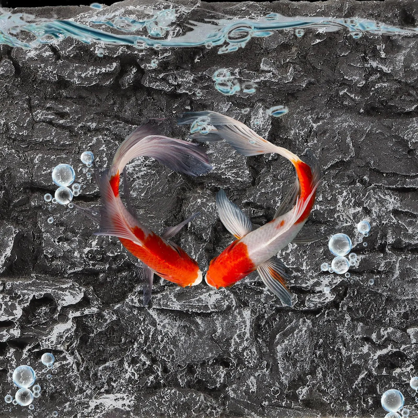 Black Koi Fish Aquarium