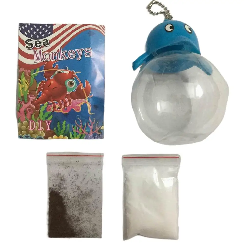 Sea-Monkeys-Egg-Monkey-Eggs-With-An-Aquario-Aquarium-Kit-Magic-Living ...