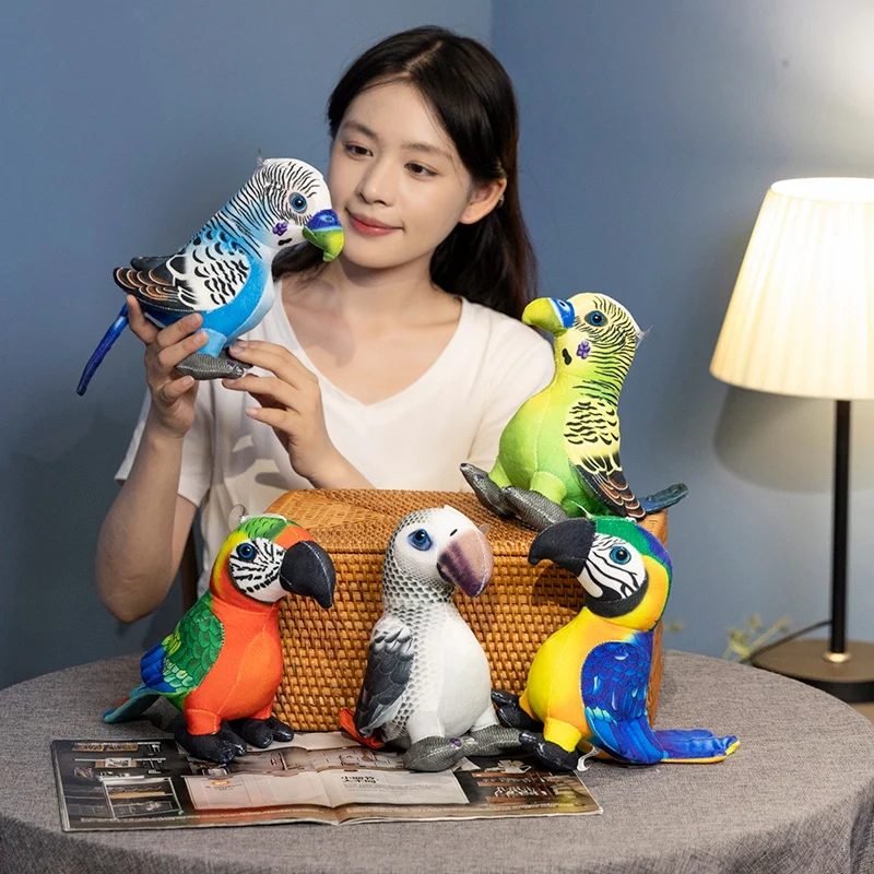 Sd1b1b01a0a6b47eabf85ec5702b344a0l.jpg