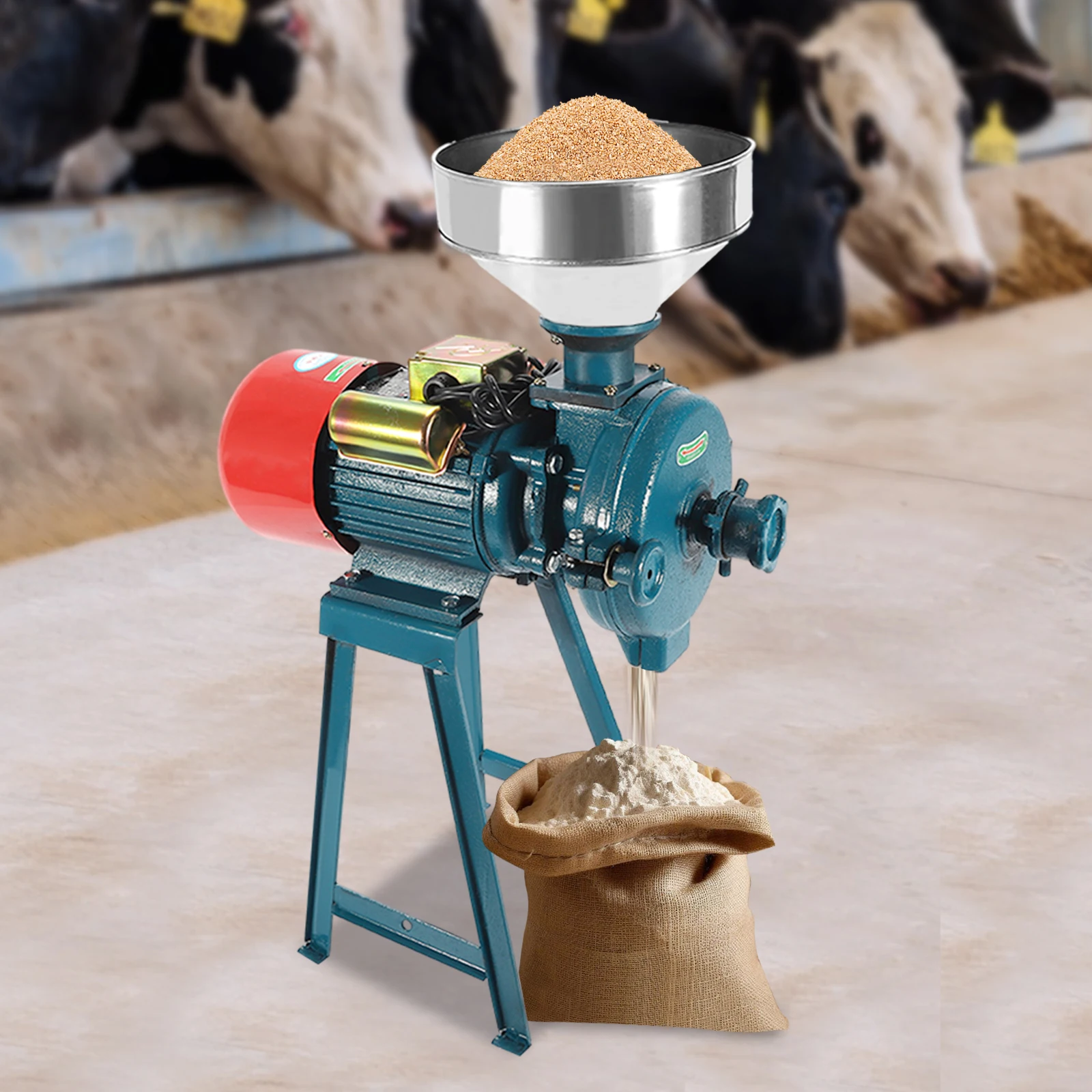 Store Home Products Feedback