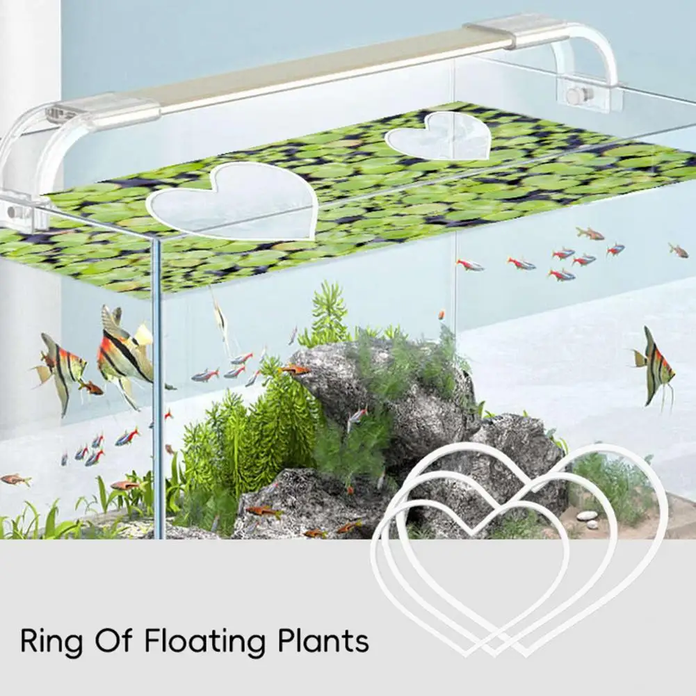Fish Feeding Rings Floating，Heart Shape Floating Plant Fence，Aquarium ...