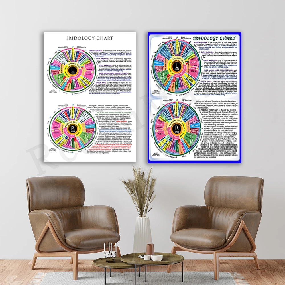 Iridology-chart-art-ophthalmologist-poster-for-health-assessment-by ...