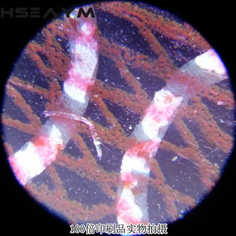 Loupe optique,Microscope à focale Mini 100X avec stylo LED, Loupe ...