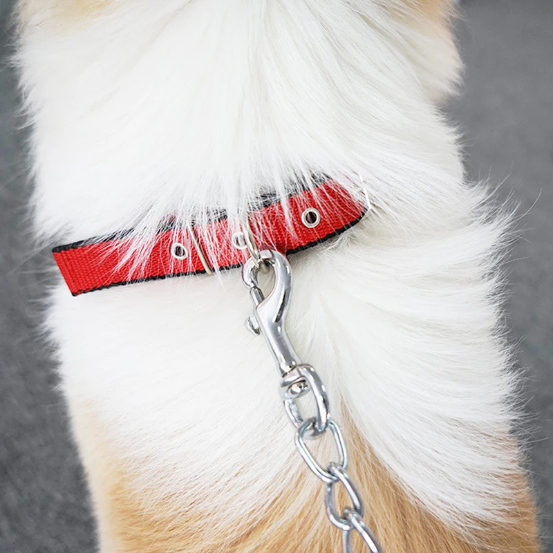 Nylon-Dog-Collar-For-Small-Medium-Large-Dogs-Teddy-Keji-Pitbull-Bulldog ...