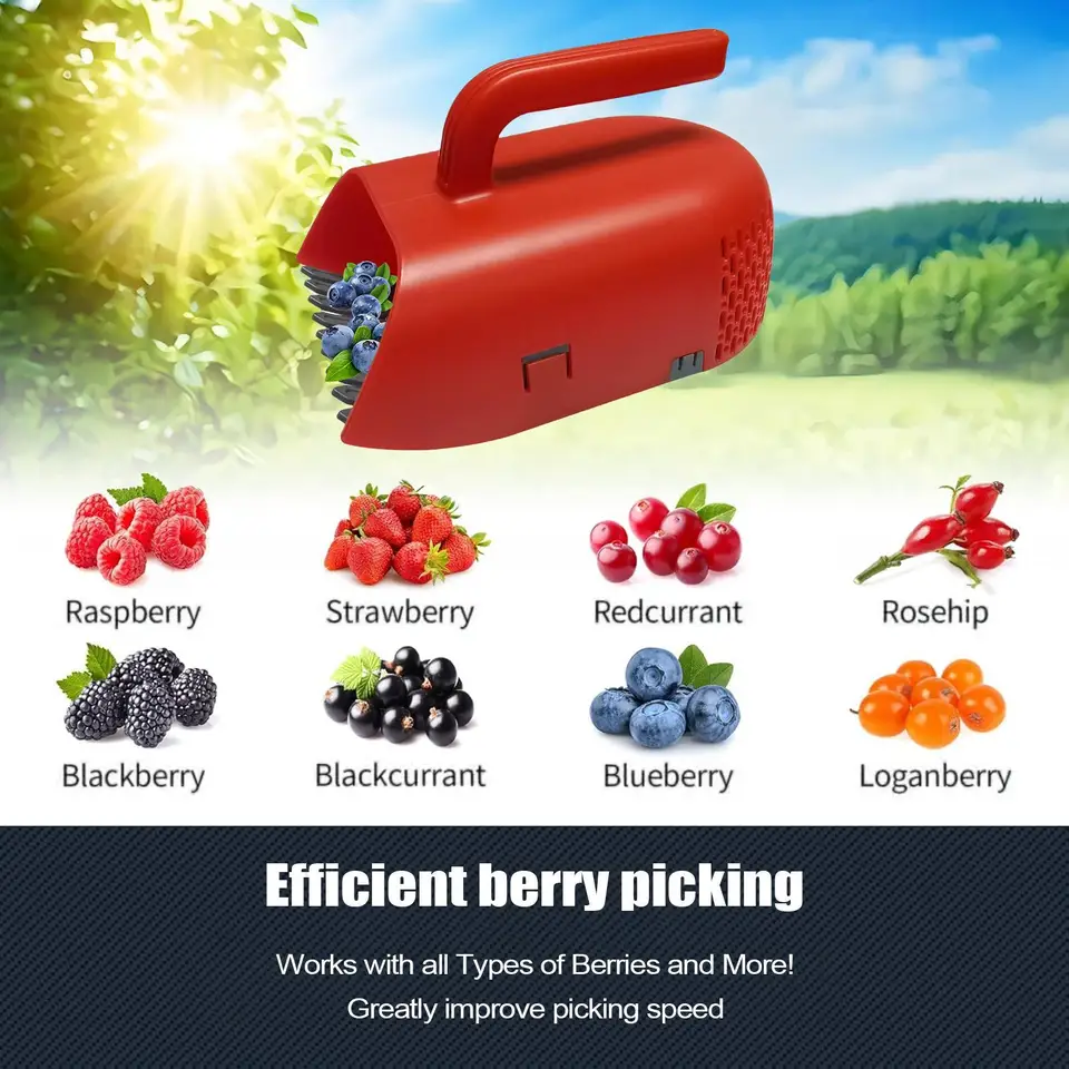 Best Berry Picking Tool Berry Picker Handheld - Blackberry & Blueberry ...