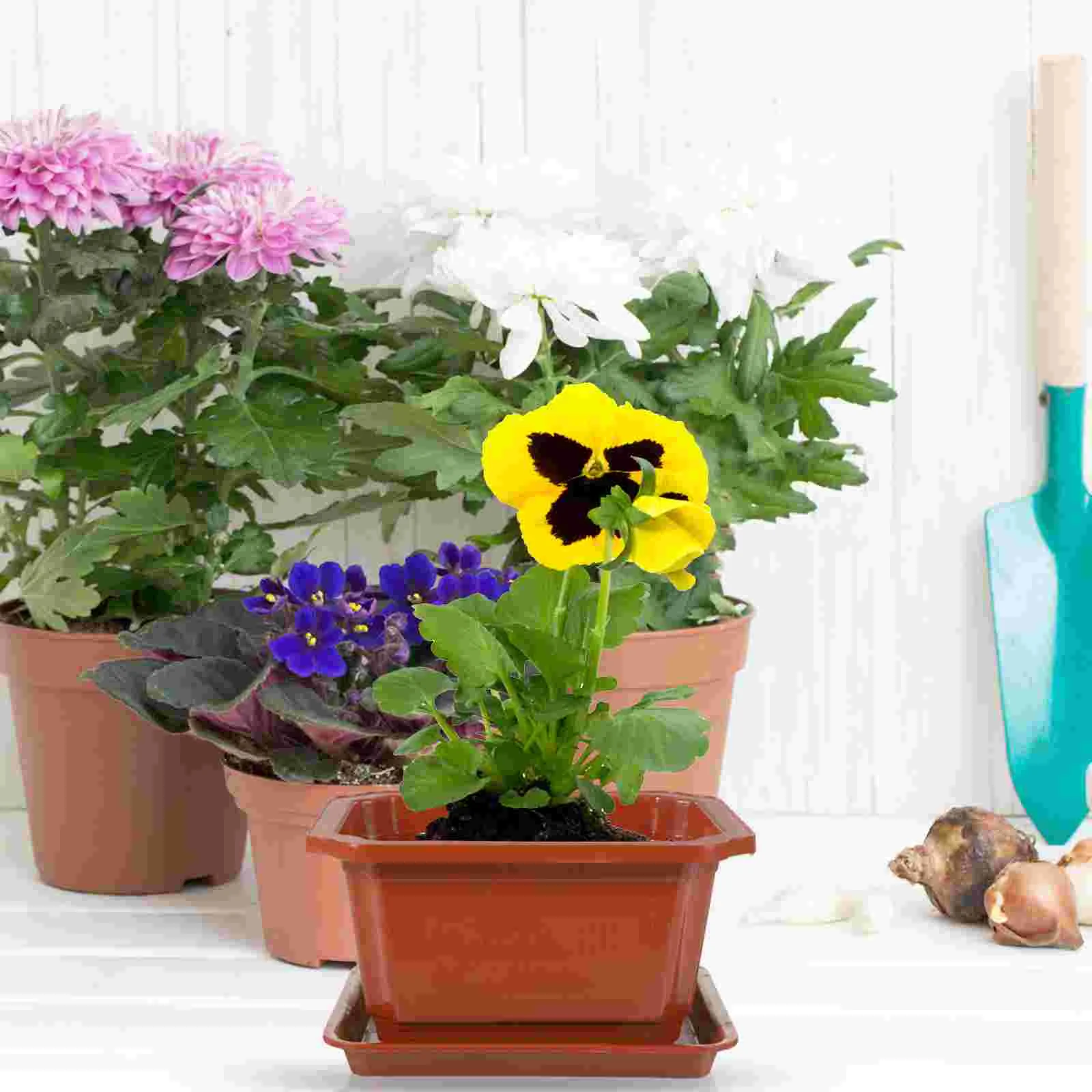 2-Sets-Square-Vegetable-Bowl-Planter-Balcony-Containers-Rectangular ...