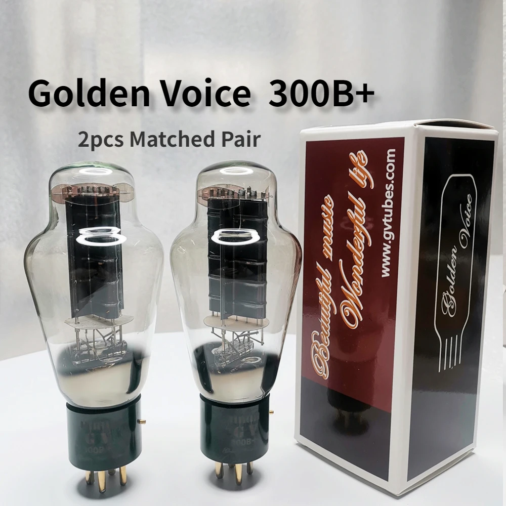Golden-Voice-300B-300B-sostituzione-del-tubo-del-vuoto-aggiornamento ...