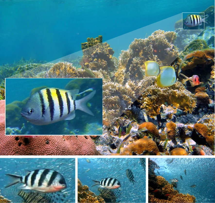 Водонепроницаемая подводная камера IP68 для рыбалки и дайвинга | AliExpress