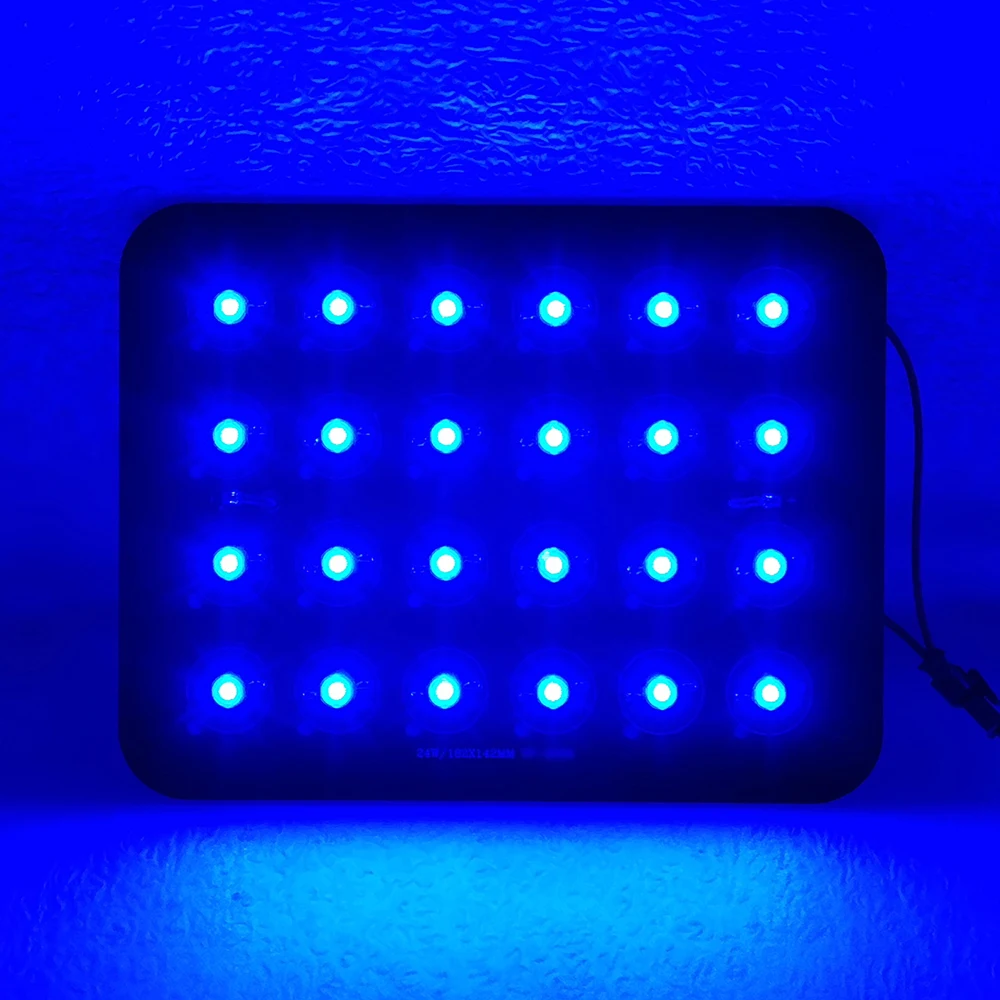 Blue Led Lights Aquarium | Led Royal Blue Aquarium | Blue Led Aquarium ...