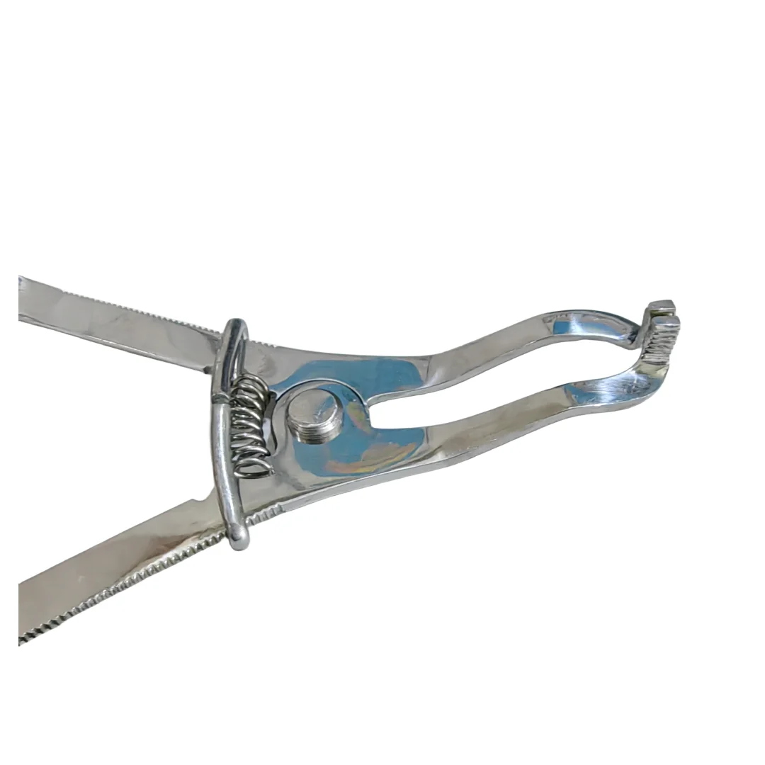 Store Home Products Sale Items Top Selling Dental Plier Feedback