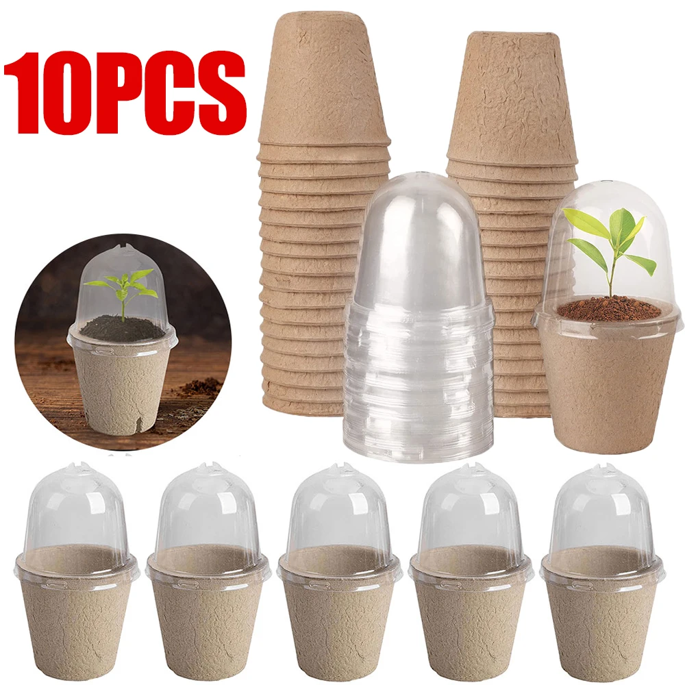 10pcs-Garden-Round-Peat-Pots-Plant-Seedling-Starters-Cups-Nursery-Herb ...