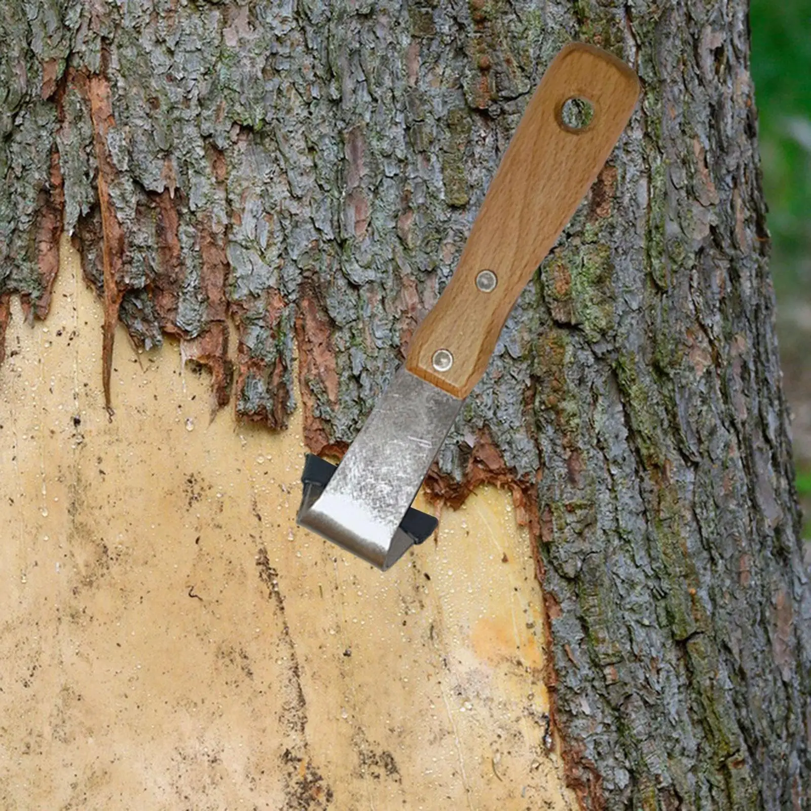 Bark Spud Debarking Tool Log Peeler Tool for Woodworking Debarking ...