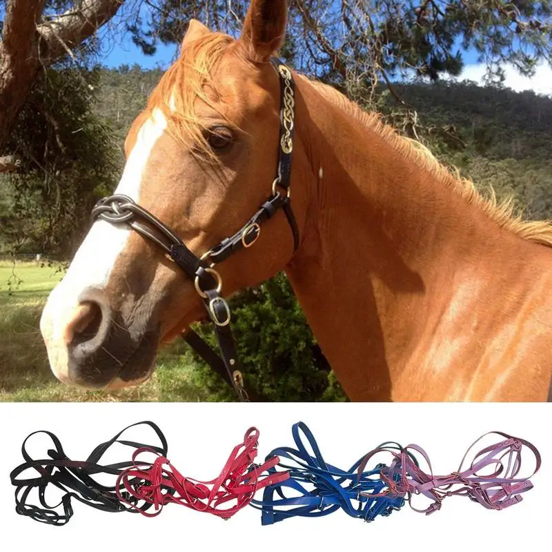 Halter-For-Horse-Safety-Halter-Chin-Throat-Snap-Heavy-Duty-Tied-Halter ...