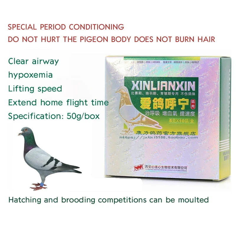 Pigeon-racing-pigeon-cleaning-respiratory-tract-increase-blood-oxygen ...