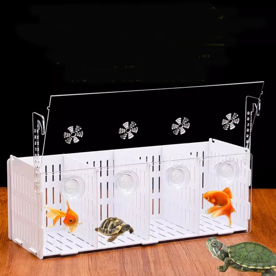 Multi-functional Aquarium Feeding Box DIY Acrylic Isolation Box Small ...