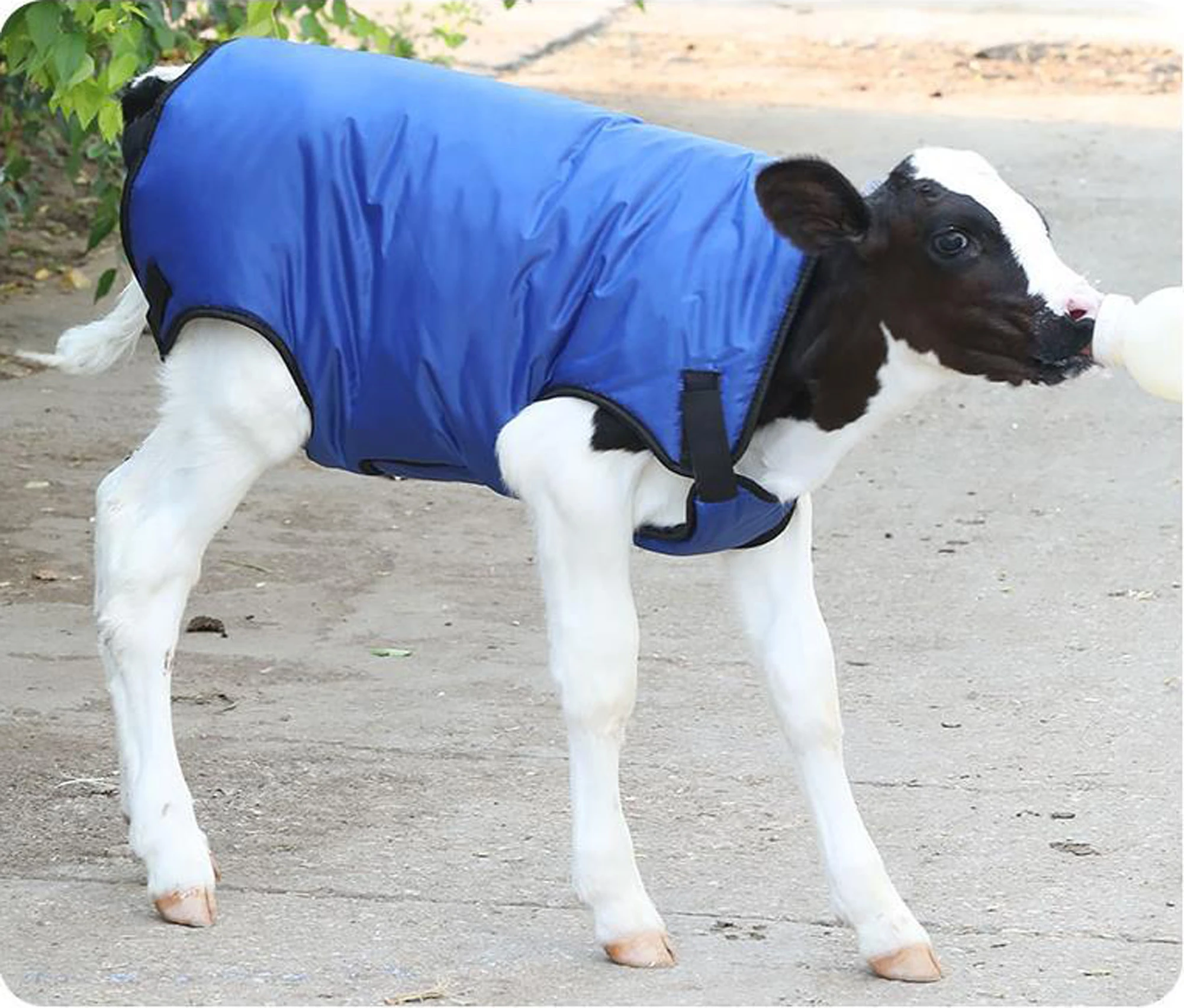 Vaca bezerro casaco quente colete jaqueta no inverno engrossar proteção ...