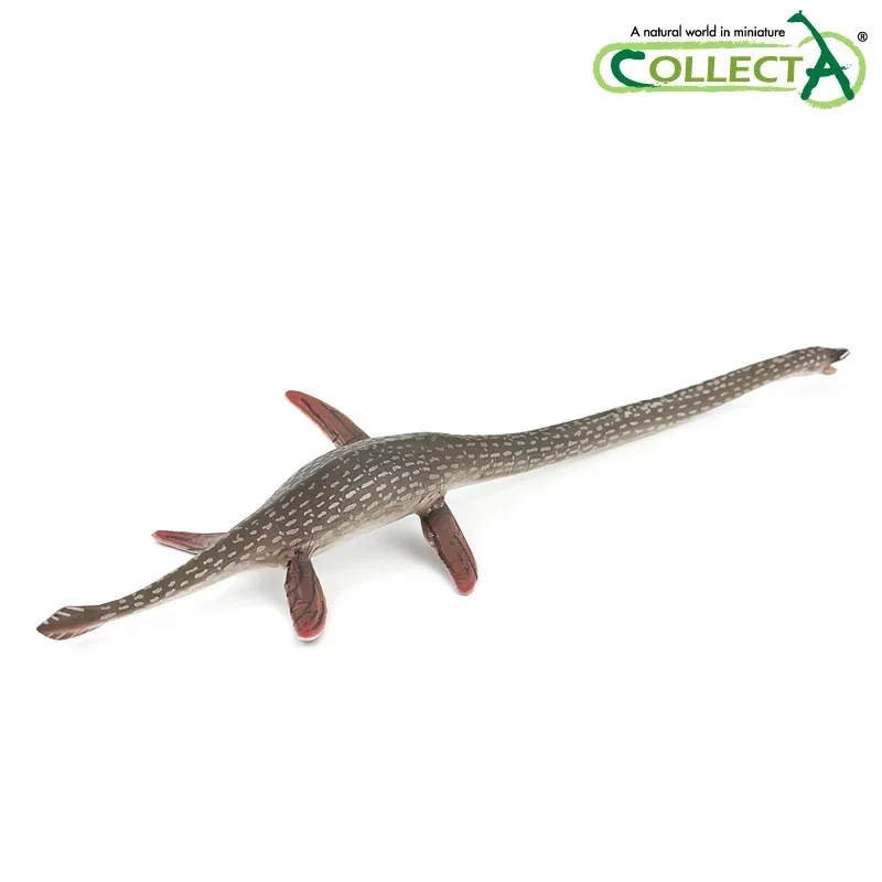Collecta-Sea-Life-Elasmosaurus-brinquedo-modelo-animal-pr-hist-rico ...